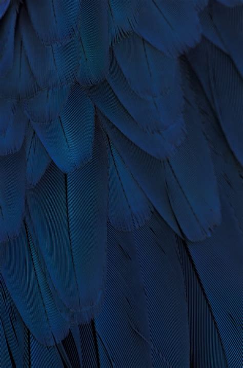 Abstracts Clive Carpenter Limited