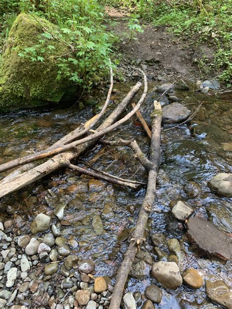 Substance Use Prevention Tools To Help People Avoid Using Addictive