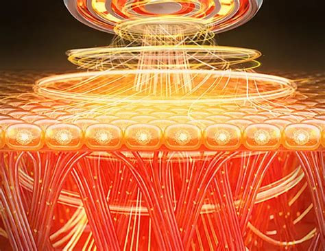 雅萌旗舰店 花瓣网