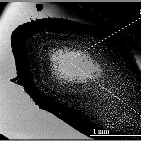 The Figure Shows A Comparison Between A Spiral Defect Chaos Pattern And Download Scientific