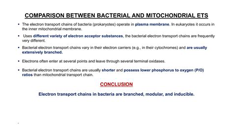 Electron Transport Chain Of Bacteriapptx