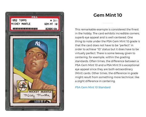 How To Grade Sports Cards For Free Sports Card Specialist