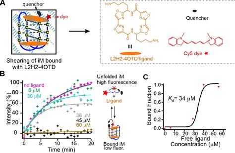 Ensemble Force Spectroscopy By Shear Forces