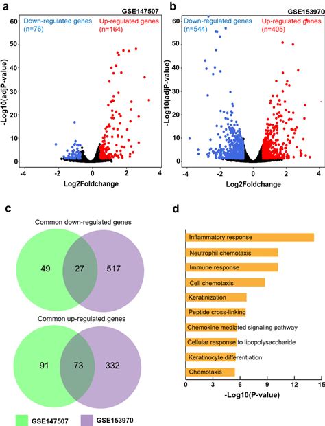 High Throughput Gene Expression Analysis Of Sars Cov 2 Infection In