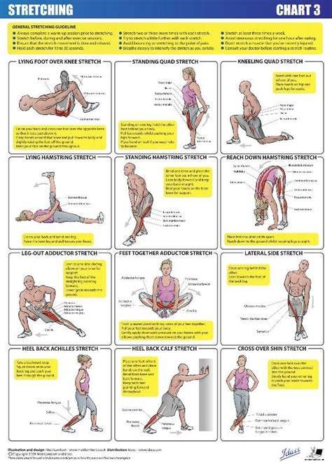 Flexibility Training Chart