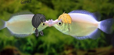 Pin De Onedirectionmademeasexslave Em Pook Acessórios Divertidos