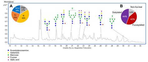Representative Chromatogram Of The Brain N Glycan Profile Representing