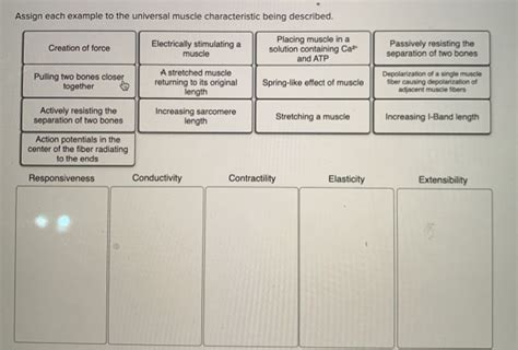 Solved Passively Resisting The Separation Of Two Bones