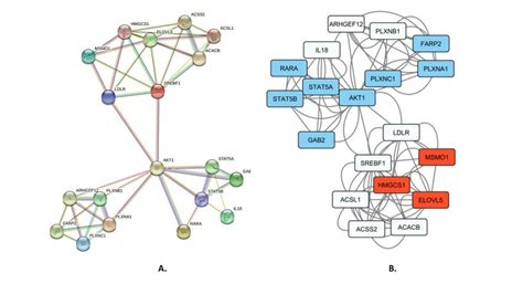 A String Ppi Network As Obtained For The Genes Present In The