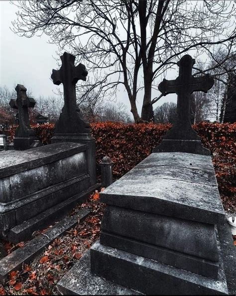 100 Cemetery Ideas In 2025 Dark Aesthetic Cemeteries Gothic Aesthetic