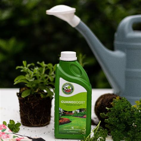 Guanoboost 1 L Organic Liquid Fertilizer Seabird Guano Root Booster