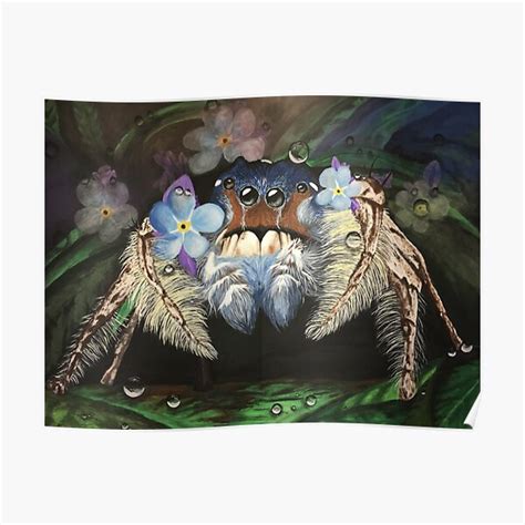 Phiddipus Jumping Spider Poster For Sale By Angelbrise Redbubble