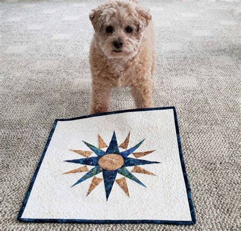 Mariners Compass Table Topper Freemotion By The River