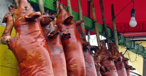 Coa Calls Attention Of Liloan For Buying 207 Pieces Of Lechon Totaling P1 357 Million Including