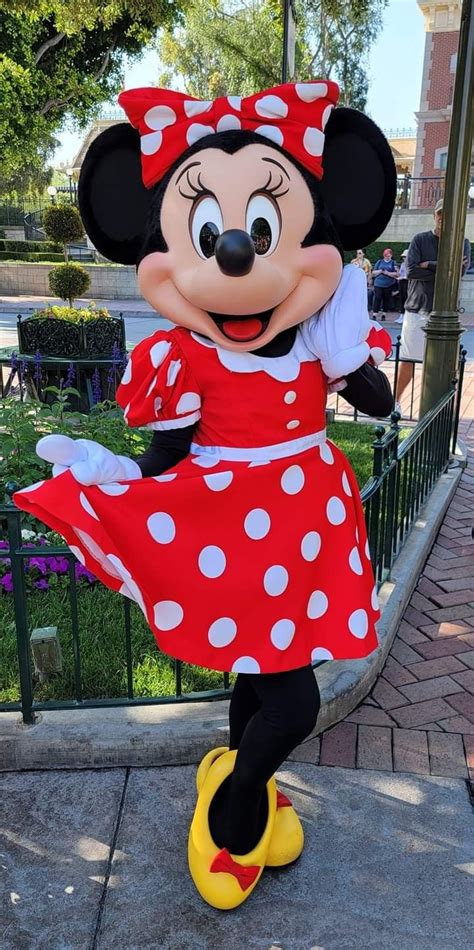 Pin By Gayle Shivick On Disney World Characters Disney Crossover