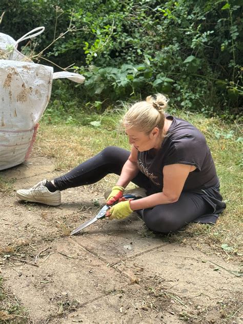 June 2025 Widgit Wilding Part Iv