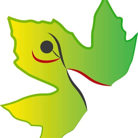 Fundación Sicómoro Youtube