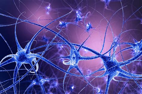 Role Of Cs 6 Clusters In Neural Plasticity Unlocked