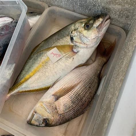 Badehan Guest House Reviews Ildir Turkiye