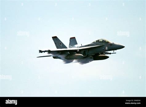 Us Navy Commander Of Carrier Air Wing Five Cvw 5 Capt Joseph Aucoin