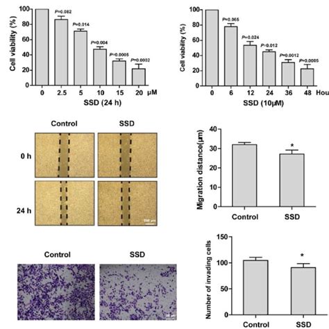 Ssd Inhibits The Malignant Phenotype Of Gbm Cells A Cell Viability