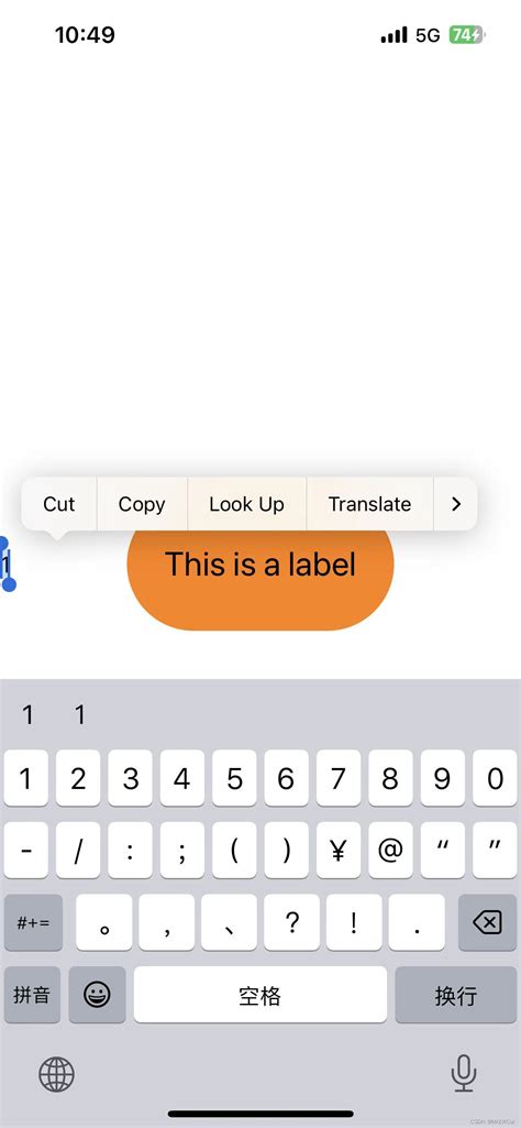 Ios学习—禁止截屏截屏隐藏指定内容ios防止截屏 Csdn博客