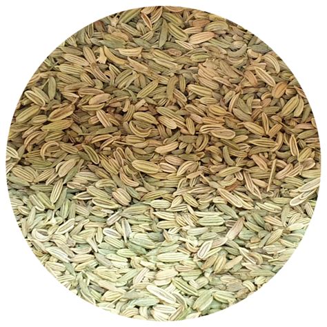 Komorač Kupi Kavu I čaj