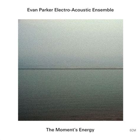 O Púbis Da Rosa Evan Parker Electro Acoustic Ensemble The Moments