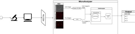 The Chart Describes The Full Flow Of Microanalyzer Form Microscope To Download Scientific