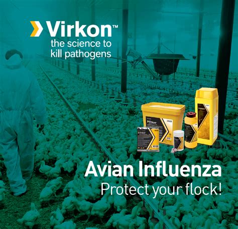 Virkon Vetoquinol