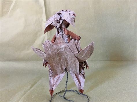 Faputa Wallpapers Top Free Faputa Backgrounds Wallpaperaccess