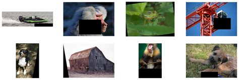 Why Automatic Augmentation Matters NVIDIA Technical Blog