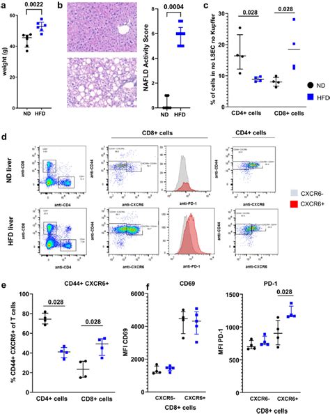 NASH Altered T Cells Phenotype A Weight Of C57BL 6 N Mice Following Download Scientific