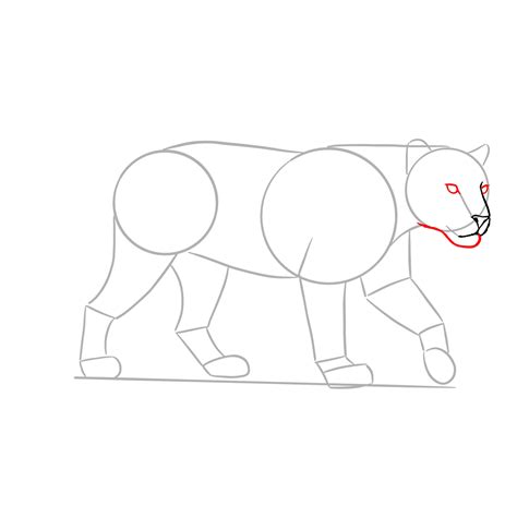 How To Draw A Jaguar In Side Profile Big Cat Drawing Tutorial