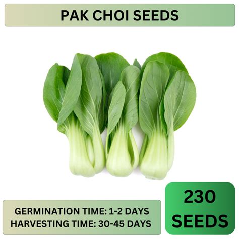 Set 1 Sulit Pack Vegetable Seeds Pechay Sitaw Okra Talong Sili