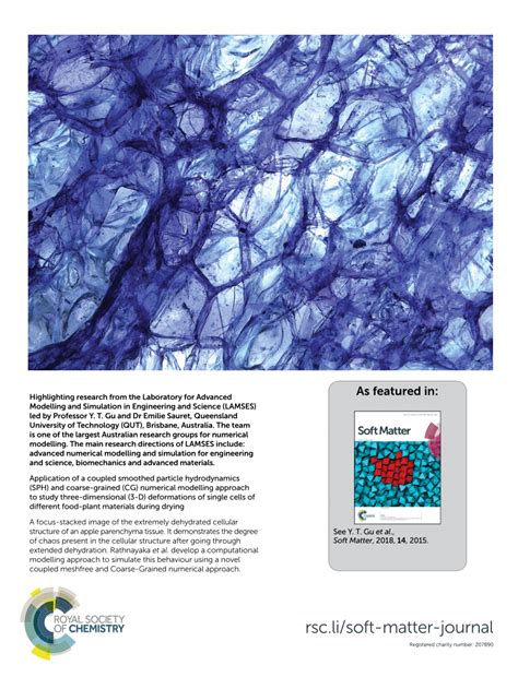 PDF Application Of A Coupled Smoothed Particle Hydrodynamics SPH And Coarse Grained CG