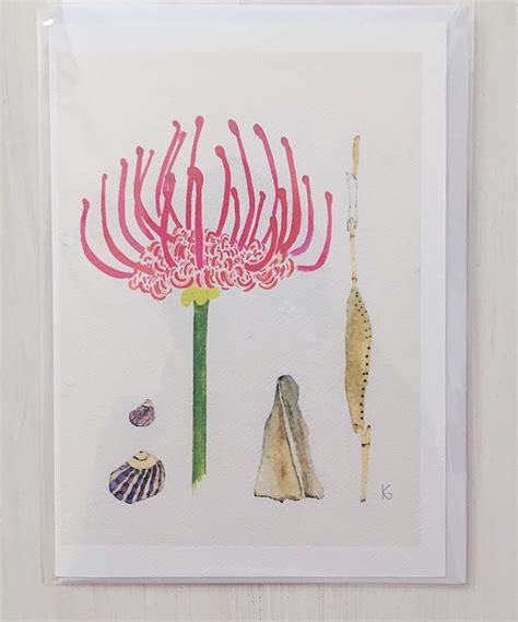 Kim Gratton Illustration