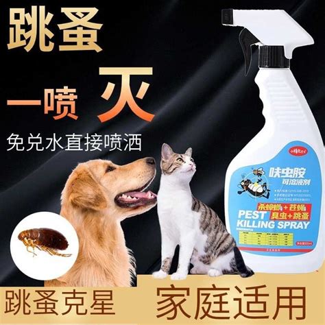 Ang Itlog Ay Ganap Na Mawawala Kama Loob Pugad Mga Hayop Ng Domaus Insekto Para Sa Aso At