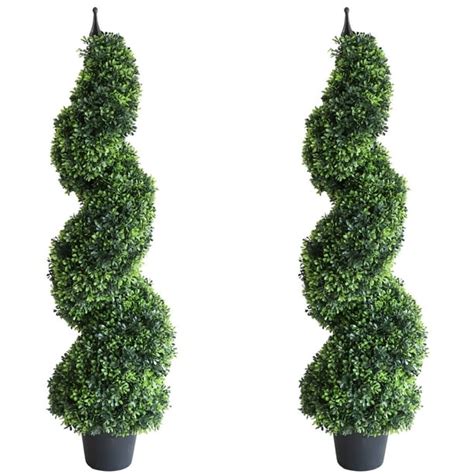 Eugenia Topiary