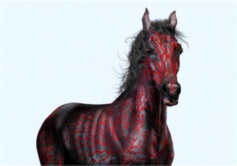 Johnny Dars Horse Bodypainting Project Want It Have It