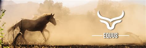 Equus Ranch And Corral