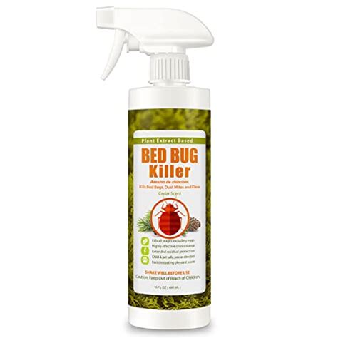 Top 10 Home Bed Bug Killer Of 2022 Katynel