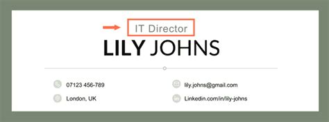 Job Title Examples List Of Career Titles Giau