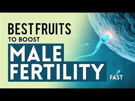 Fruits To Increase Sperm Count And Motility Boost Male Fertility Fast