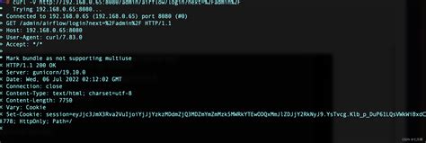 漏洞复现 Apache Airflow 身份验证绕过 CVE CSDN博客