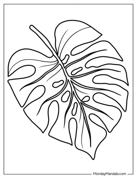 Leaf Coloring Pages