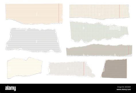 Ripped Note Paper Scraps Of Lined And Squared Notebook Papers
