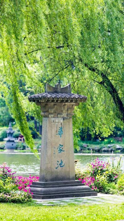 浙江大学 高清图片，堆糖，美图壁纸兴趣社区