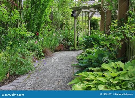 Garden Path Stock Image Image Of Walkway Greenery Shrubs 14801531