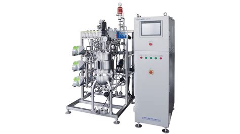 Bioreactors Scalable Solutions For Cell And Microbial Culture Lab To